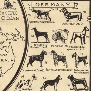Dogs of All Nations Map. Vintage Home Style Old Wall Reproduction Map ...