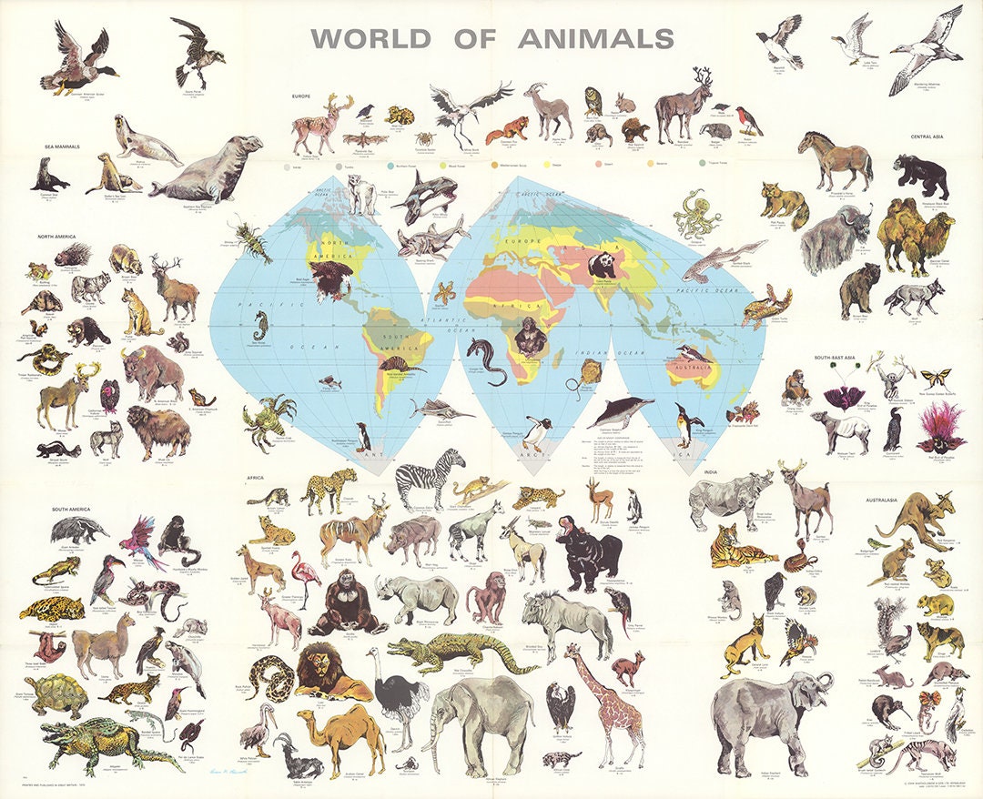 Pictorial Map of World of Animals. Vintage Home Deco Style Old Wall ...