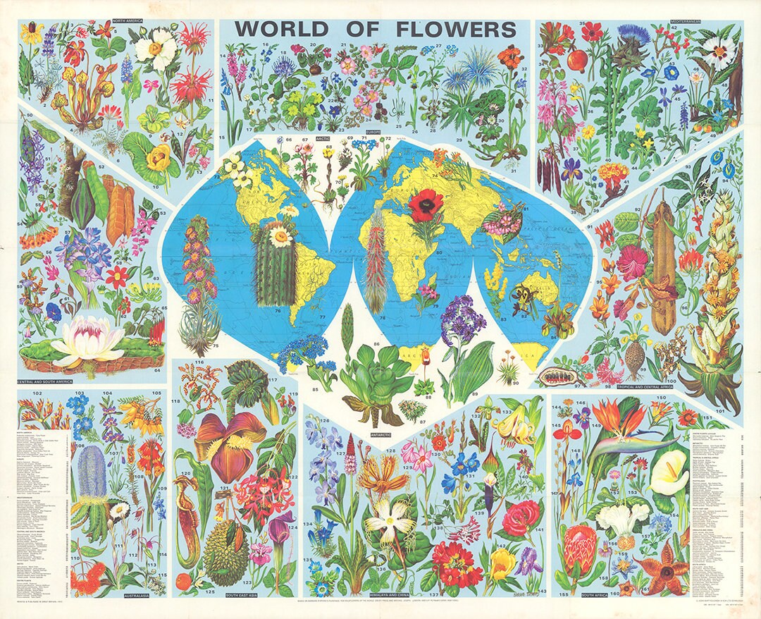 Pictorial Map of World of Flowers. Vintage Home Deco Style Old Wall ...