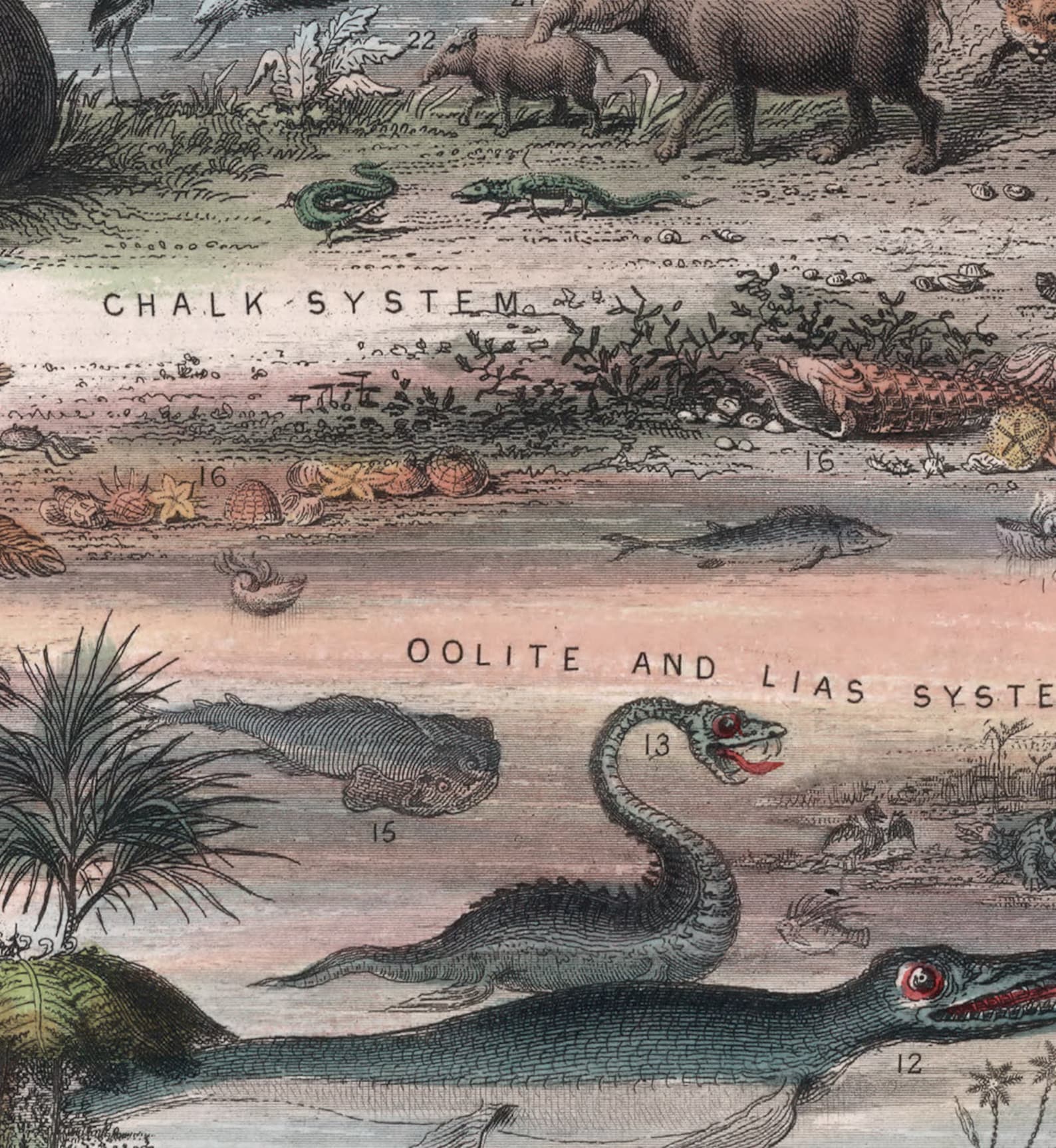 The Antediluvian World 1849. Vintage Home Deco Style Old Wall | Etsy