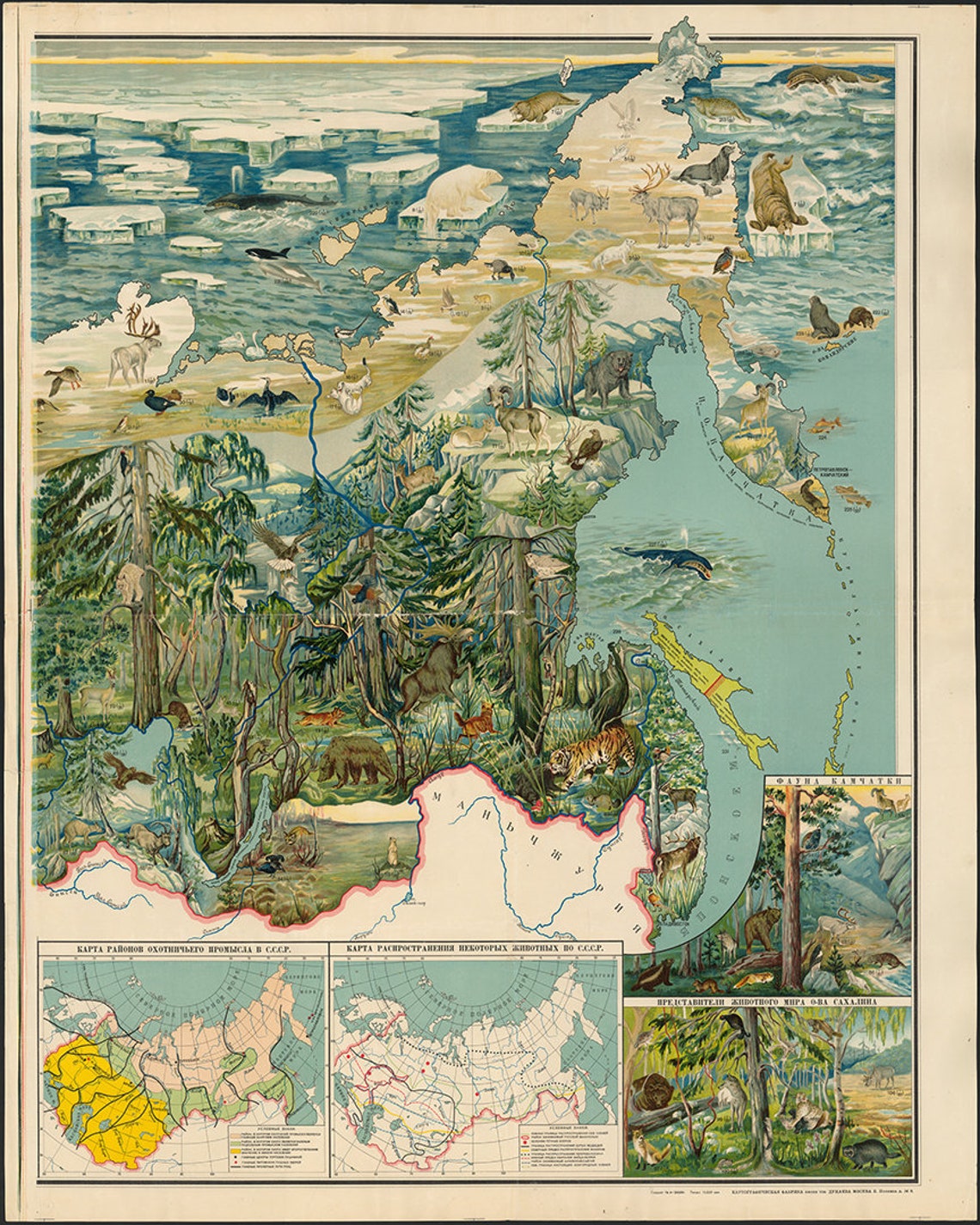 Zoogeographical Educational Map of the USSR 1928 . Vintage - Etsy