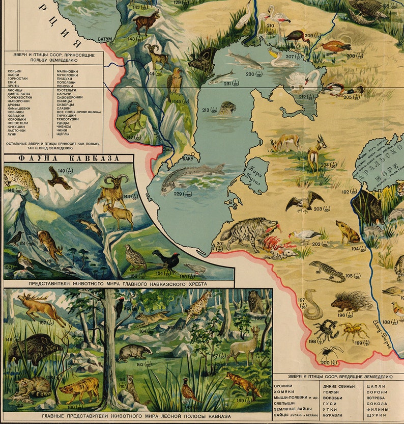 Zoogeographical Educational Map of the USSR 1928 . Vintage | Etsy