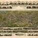 Map of Webster, Massachusetts (MA.) 1892. Worcester County. Vintage ...