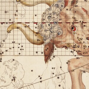 Chart of Taurus. Zodiac Star Constellation Sign. Home Deco Style Old ...
