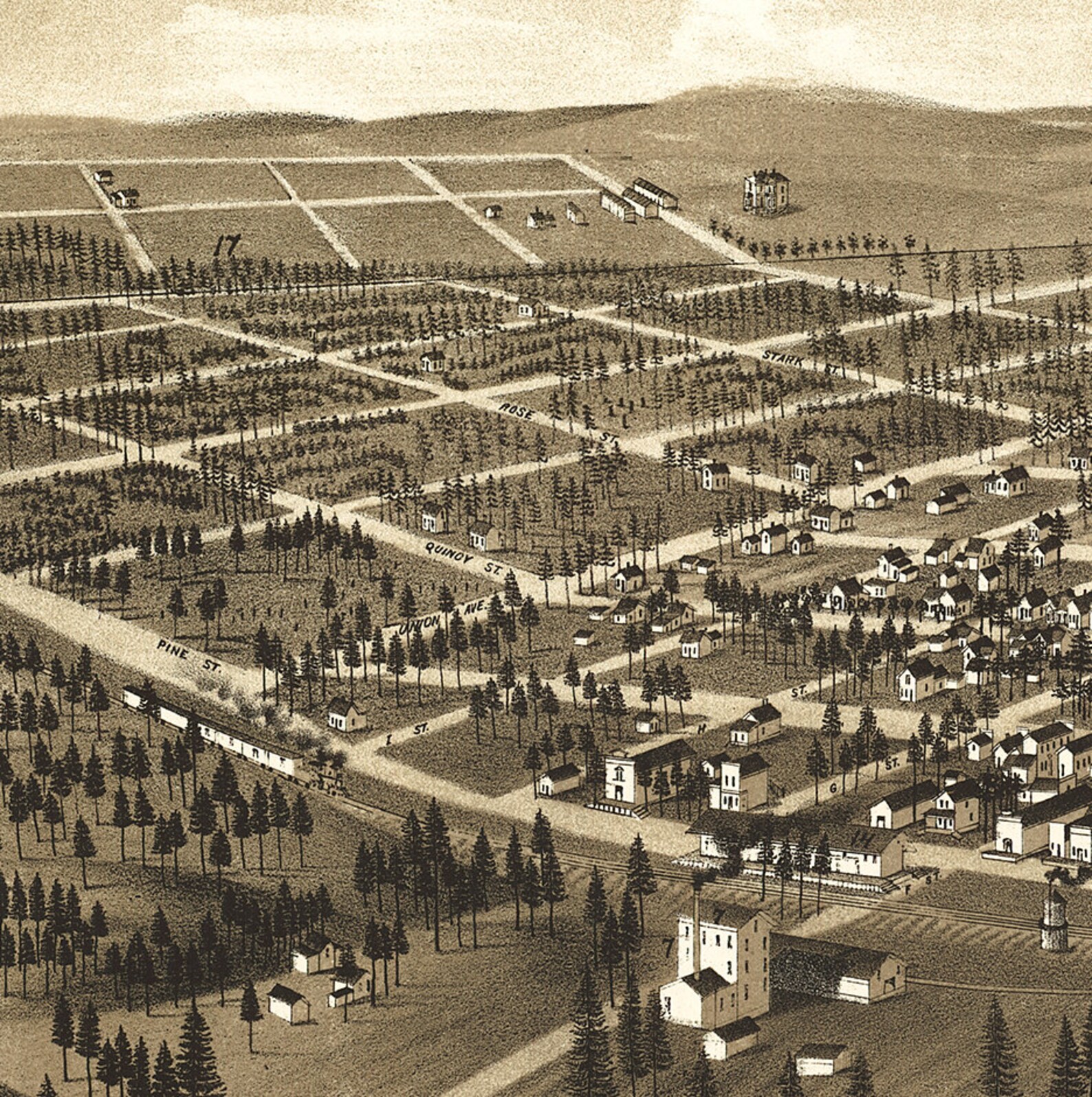 Map of Cheney Spokane County Washington WT 1884. - Etsy