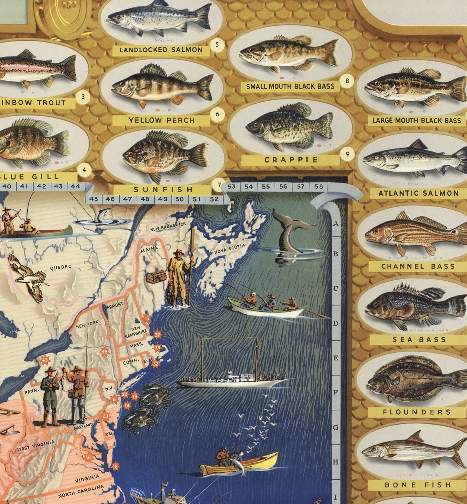 Game Fish Cyclopedia Map of the United States and Neighboring - Etsy