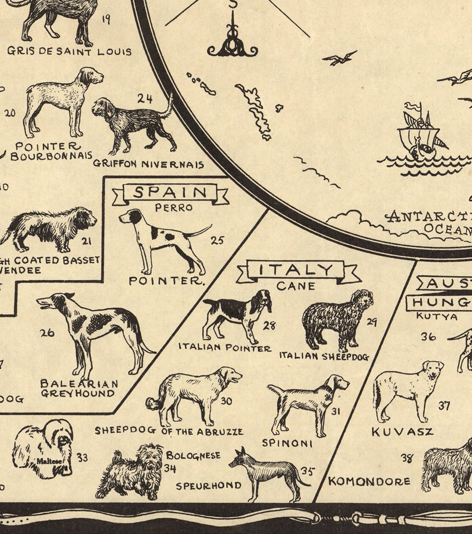 Dogs of All Nations Map. Vintage Home Style Old Wall | Etsy