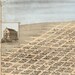 Map of the Galveston, Texas 1871. Vintage Restoration Hardware Home ...