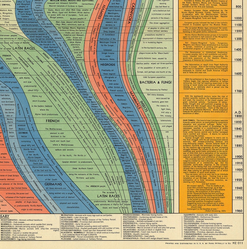 The Histomap of Evolution Descent From the Dawn of Life to - Etsy