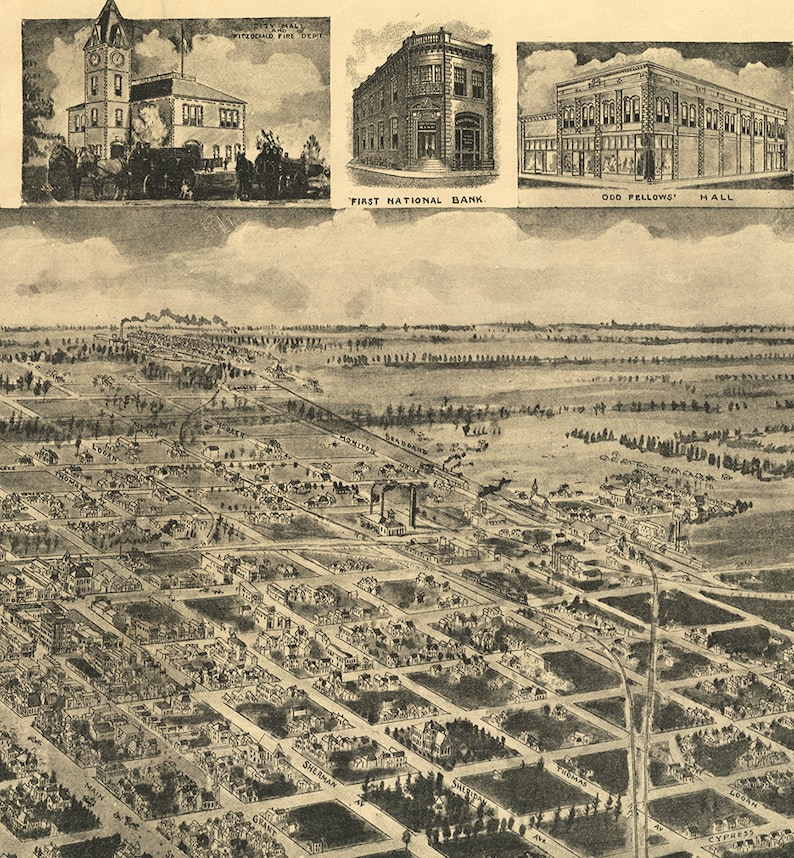 Map of Fitzgerald Georgia. Ben Hill County 1908. Vintage | Etsy
