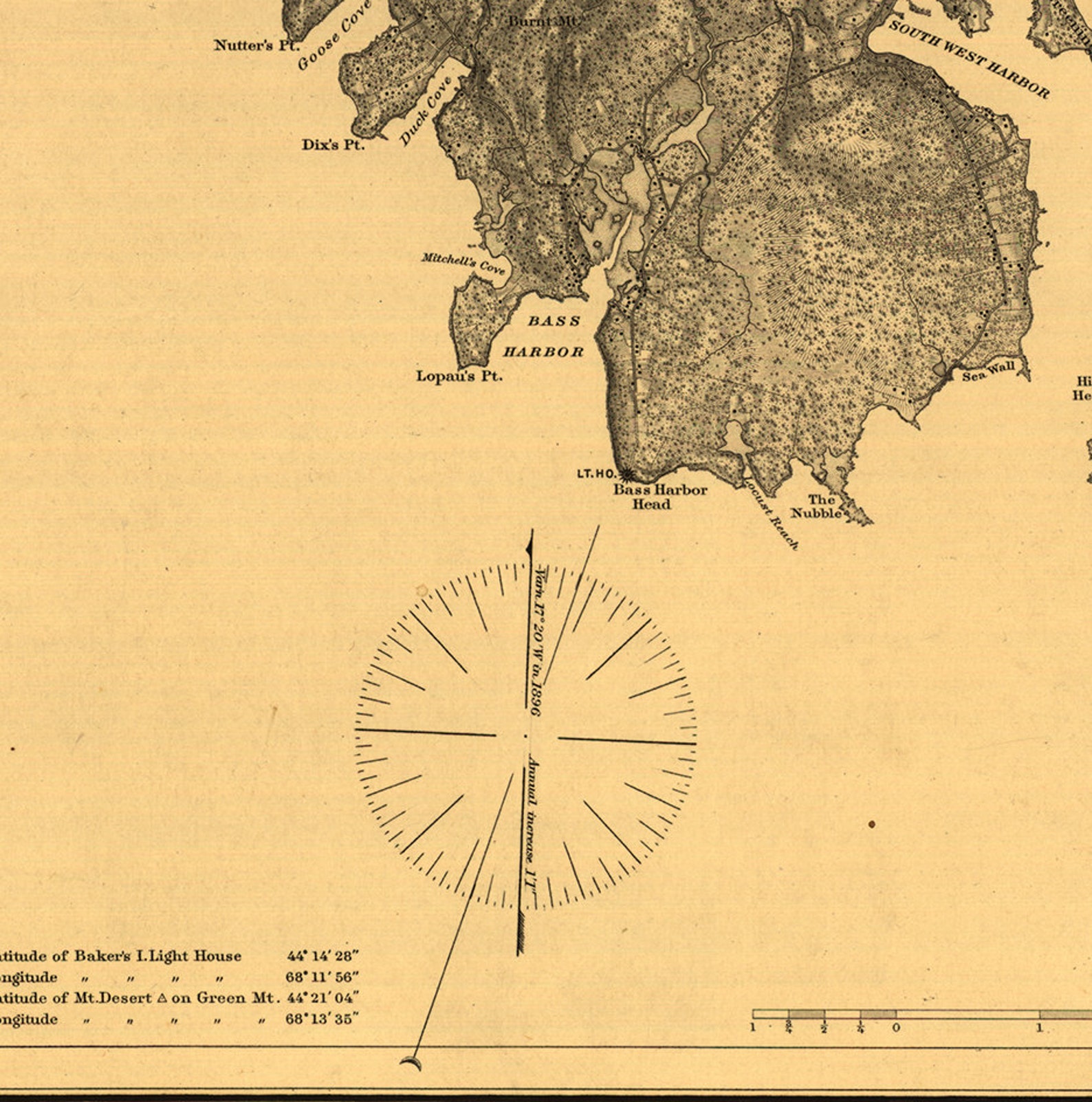 Path Map of the Mount Desert Island Acadia National Park - Etsy