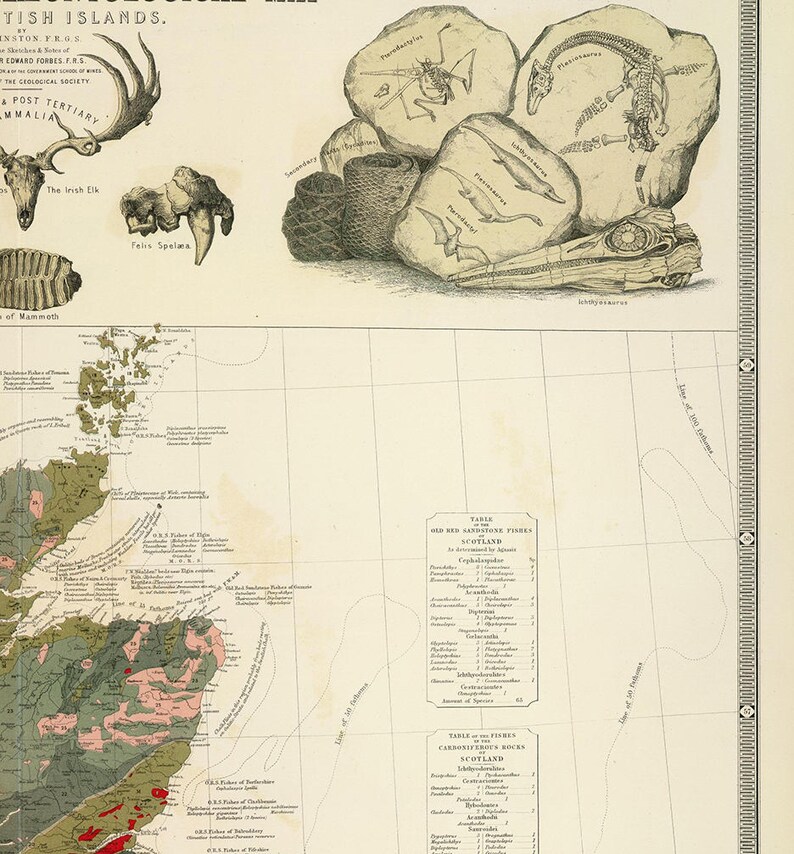 Geological & Palaeontological Map of British Islands, England U.K ...
