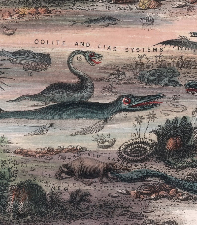 The Antediluvian World 1849. Vintage Home Deco Style Old Wall | Etsy