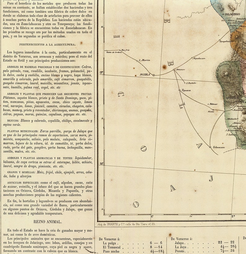 Map of Veracruz Mexico 1858. Vintage Restoration Hardware - Etsy