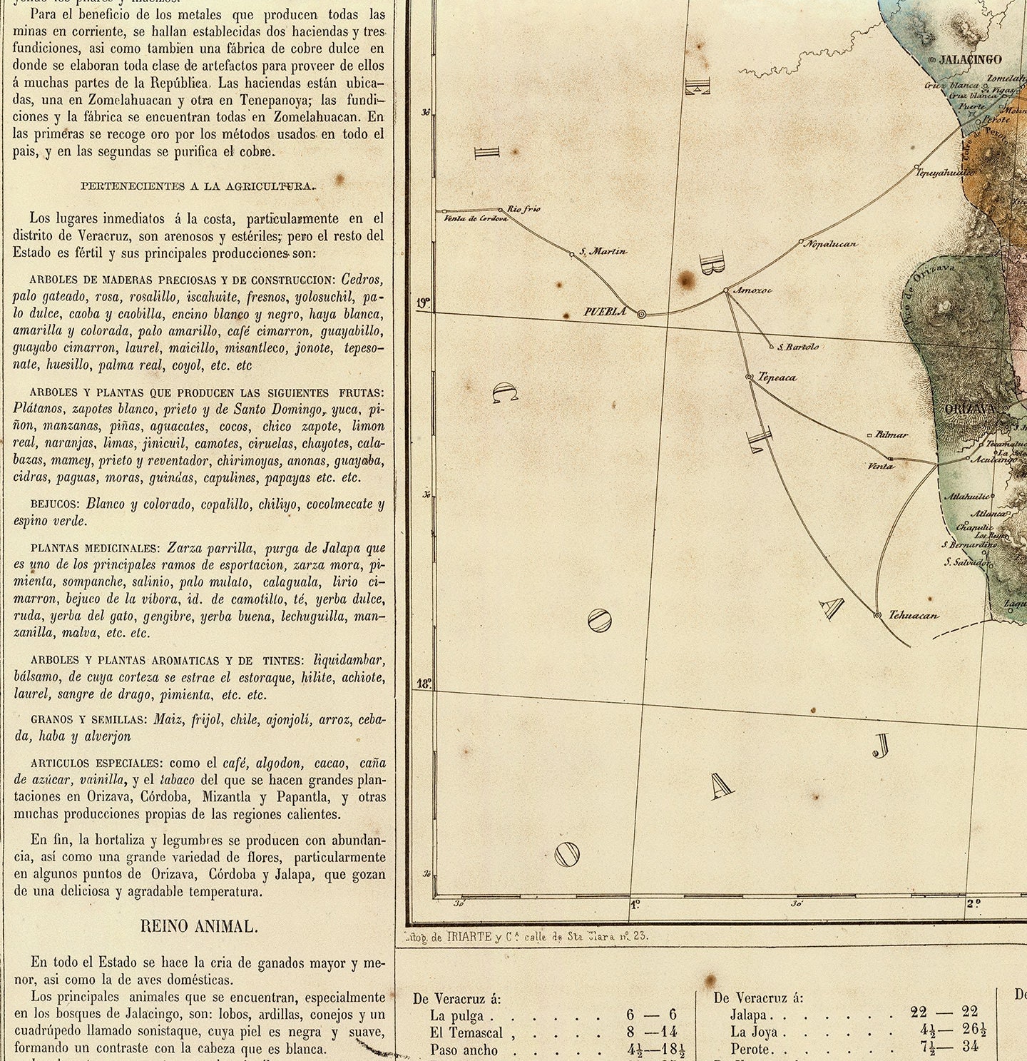 Map of Veracruz Mexico 1858. Vintage restoration hardware | Etsy