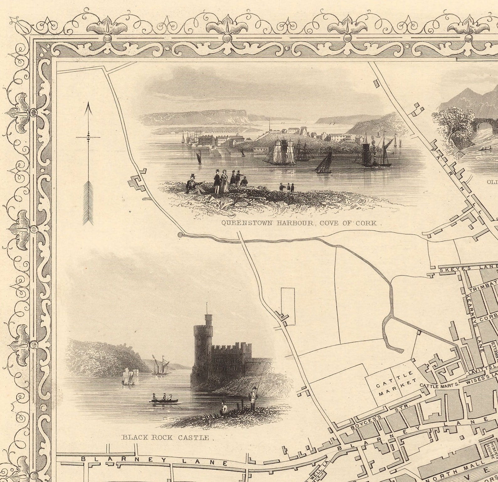 Map of City of Cork, Ireland, 1851. Vintage Home Deco Style Old Wall ...