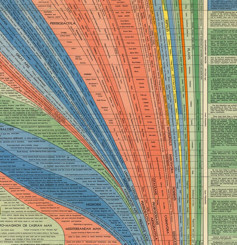 The Histomap of Evolution Descent From the Dawn of Life to - Etsy