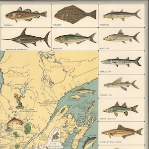 Big Game Fish Map Poster Print Vintage Fresh and Saltwater Fish Chart ...