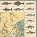 Big Game Fish Map Poster Print Vintage Fresh and Saltwater - Etsy