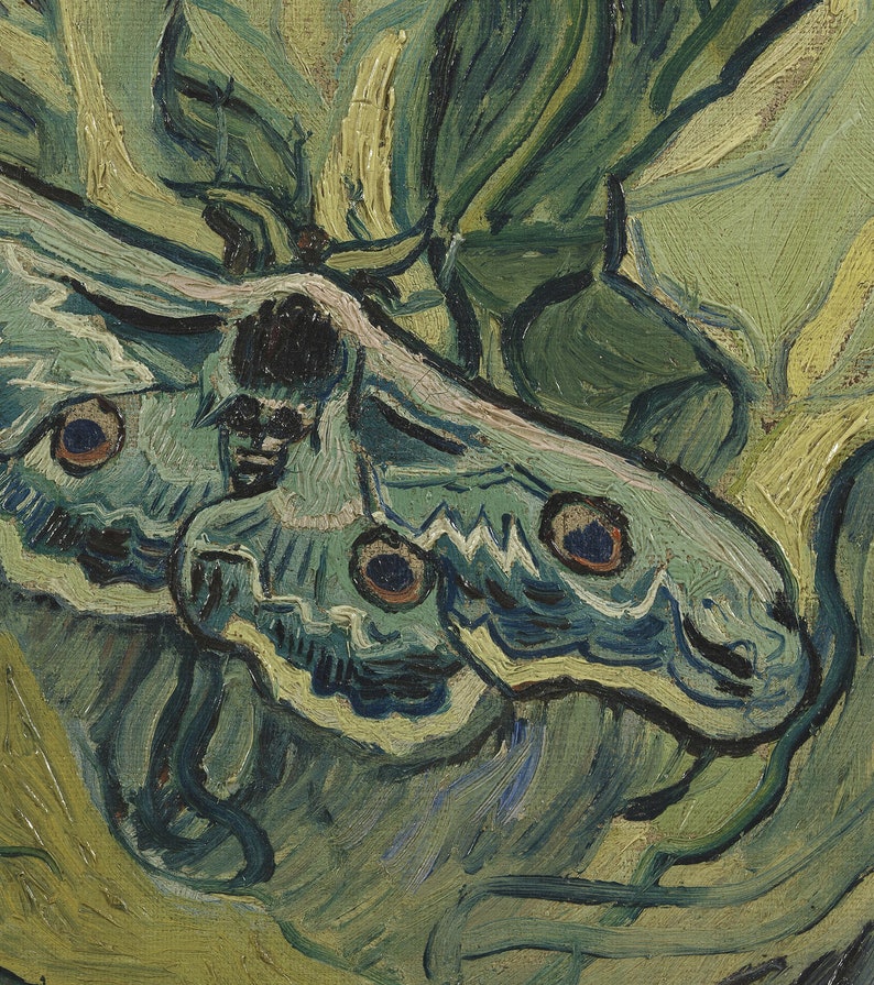 Grote nachtpauwoog Giant Peacock Moth par Vincent Van Gogh - Etsy France