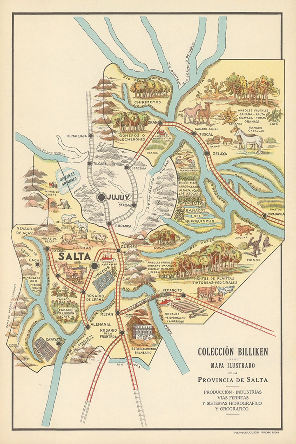 Pictorial Map of Salta. Argentina. Vintage Home Deco Style Old - Etsy