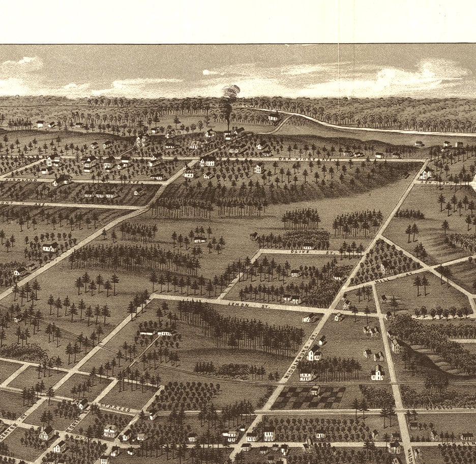 Map of Green Cove Springs Clay Co. Florida fl. 1885. - Etsy