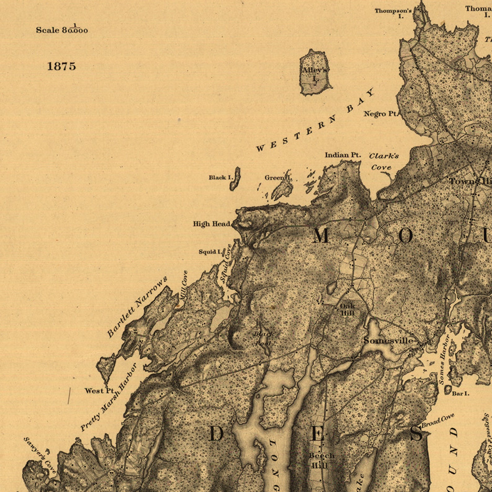 Path Map of the Mount Desert Island Acadia National Park - Etsy