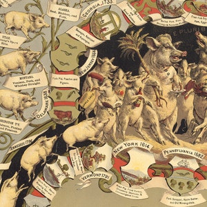 Map of U.S. Porcineograph Pig ,united States Shaped Like Hog, 1876 ...