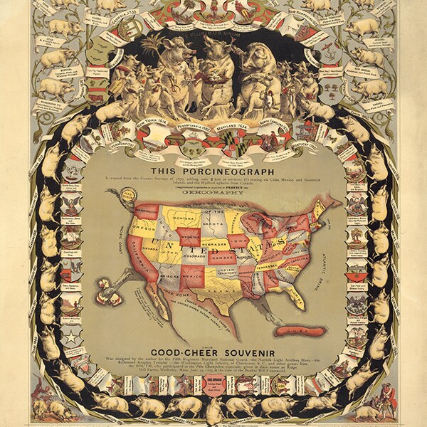 Shaped Like Pig - Etsy