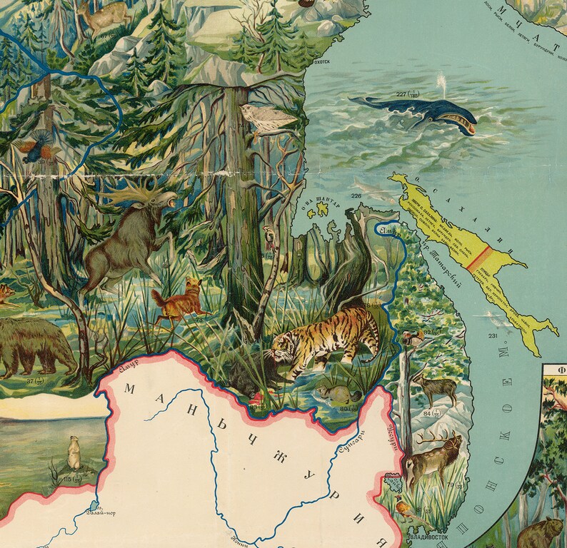 Zoogeographical Educational Map of the USSR 1928 . Vintage | Etsy