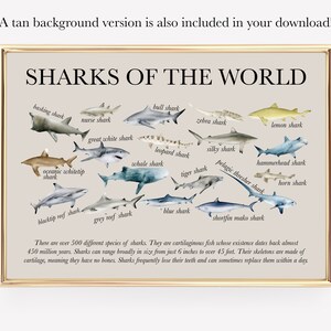 Sharks Wall Decor | Nautical Nursery Decor | Educational Poster ...