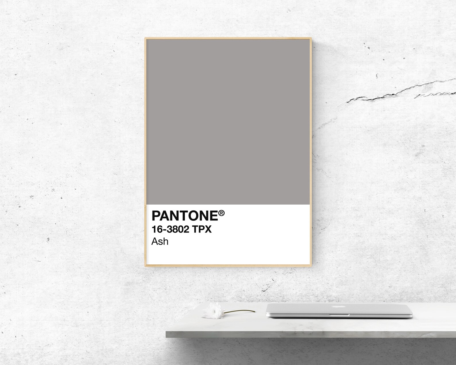 Pantone ash print pantone art pantone print gray pantone | Etsy