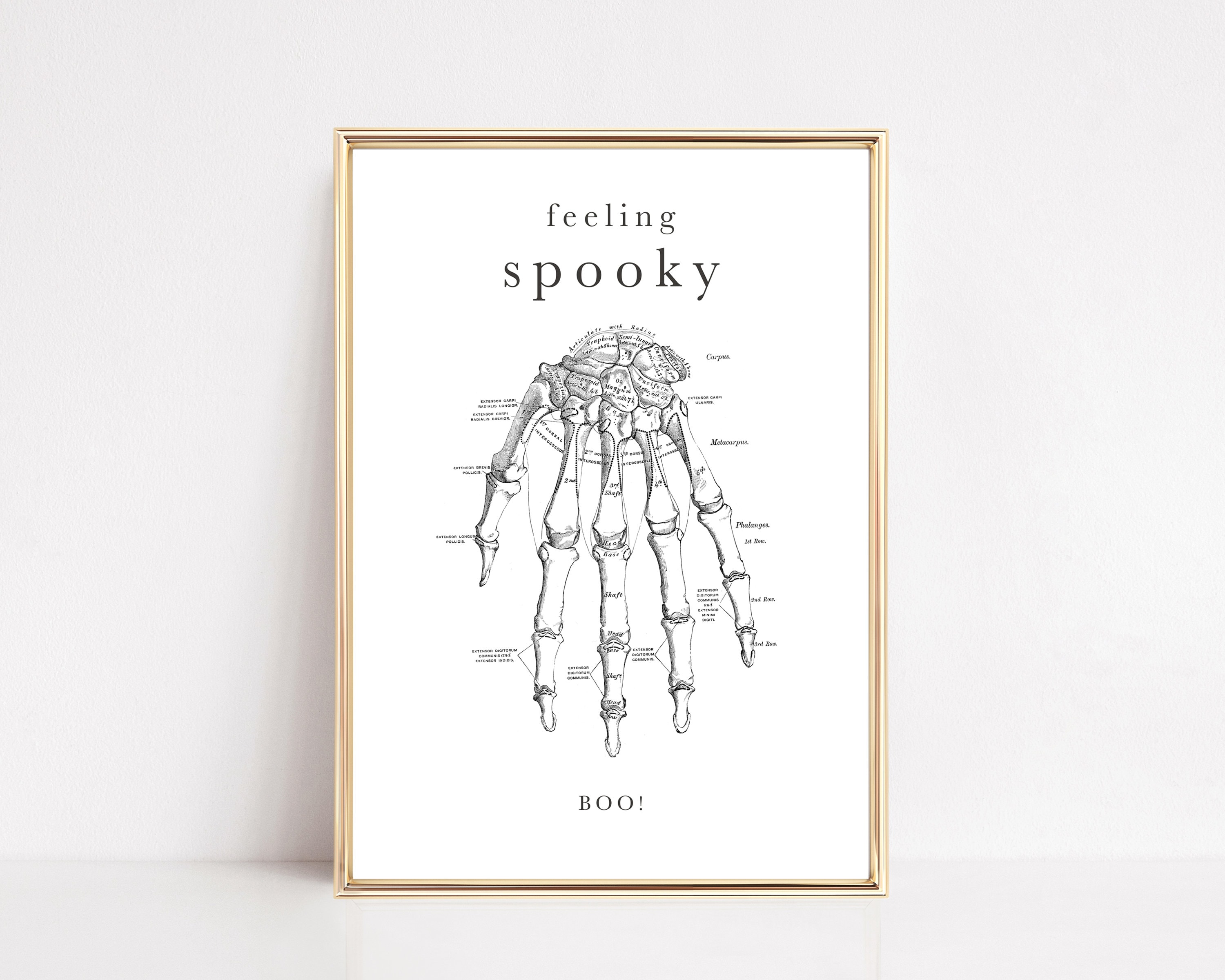 Anatomy Art Halloween Home Decor Anatomy Poster Spooky - Etsy