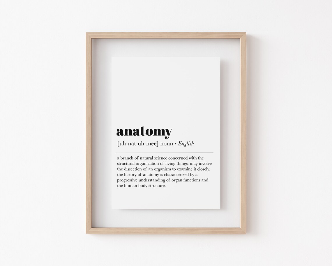 Anatomy Definition Print Anatomy Art Easy Halloween Decor - Etsy