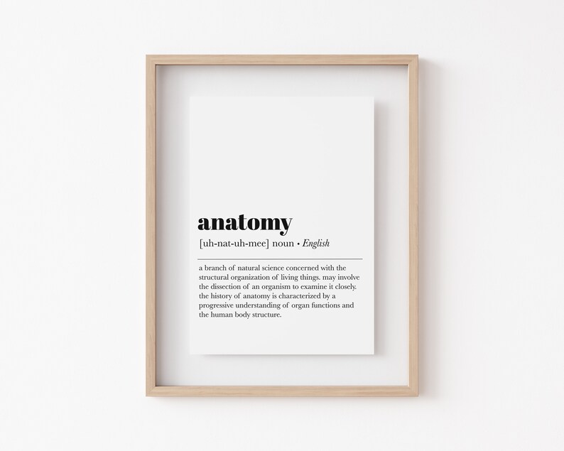Anatomy Definition Print Anatomy Art Easy Halloween Decor - Etsy