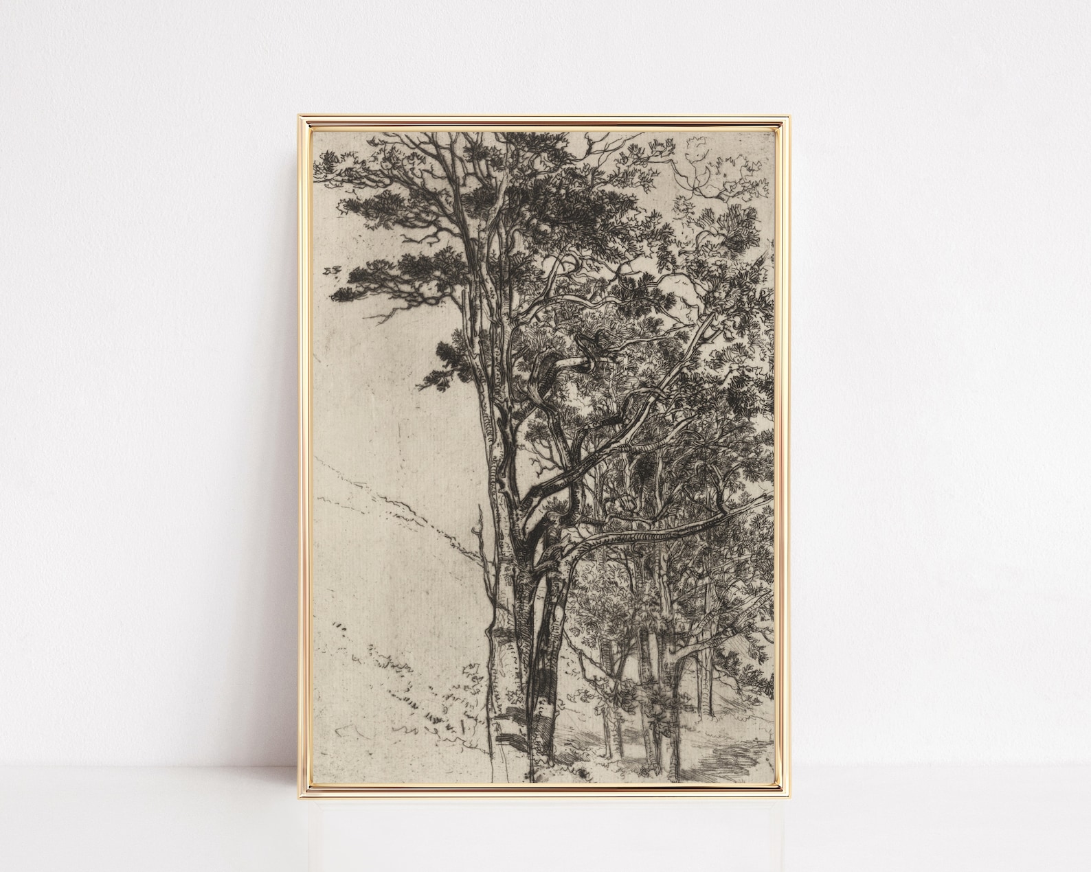 Vintage Etching Antique Print Rustic Wall Art Neutral - Etsy