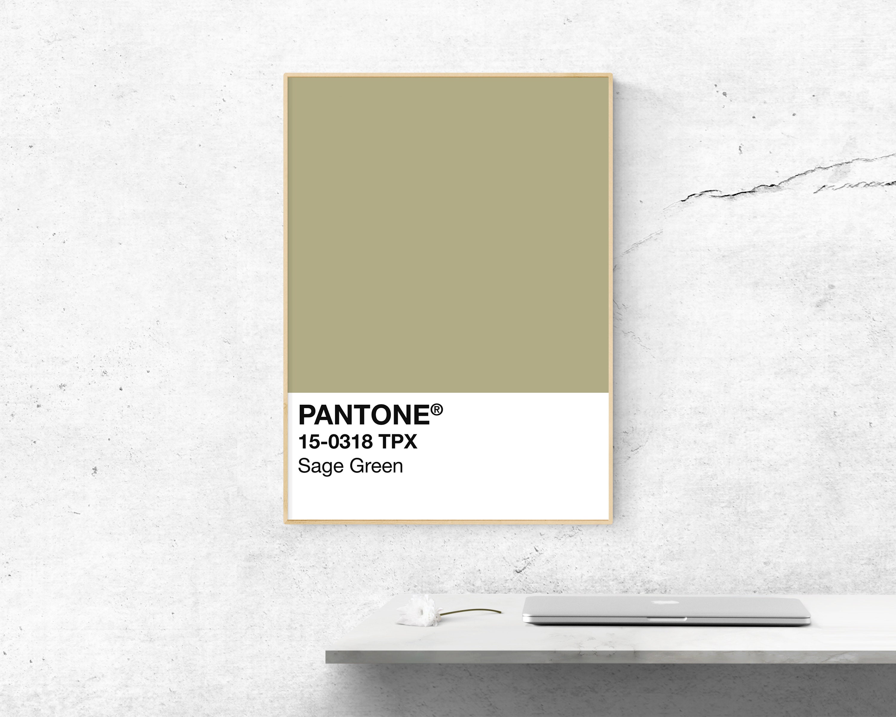 Pantone sage green print pantone print pantone poster | Etsy