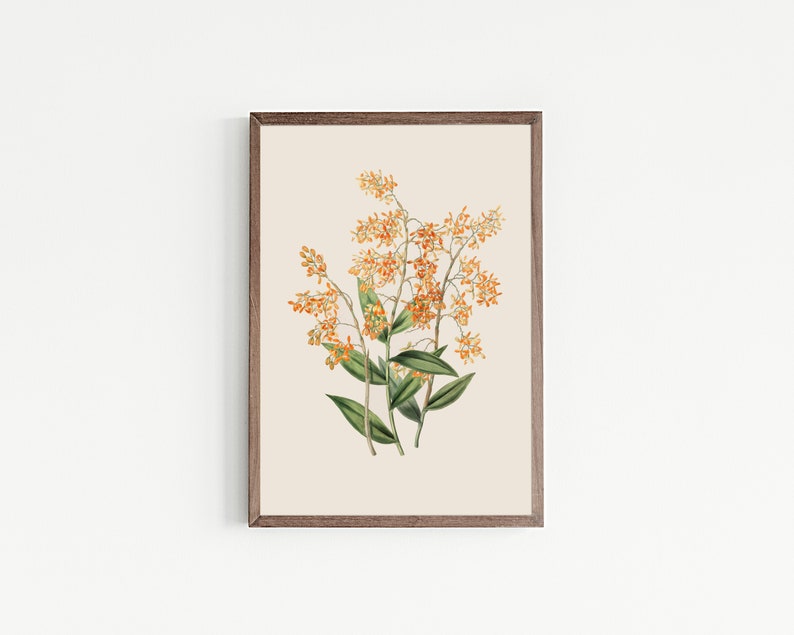 Light Academia Decor Set of 9 Prints Vintage Gallery Wall - Etsy