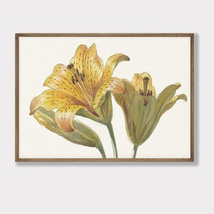 Vintage Botanical Print Flower Painting Botanical Wall Art - Etsy