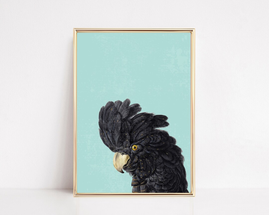 Cockatoo Print Bird Print Bird Wall Art Bird Art Trendy Decor Colorful ...
