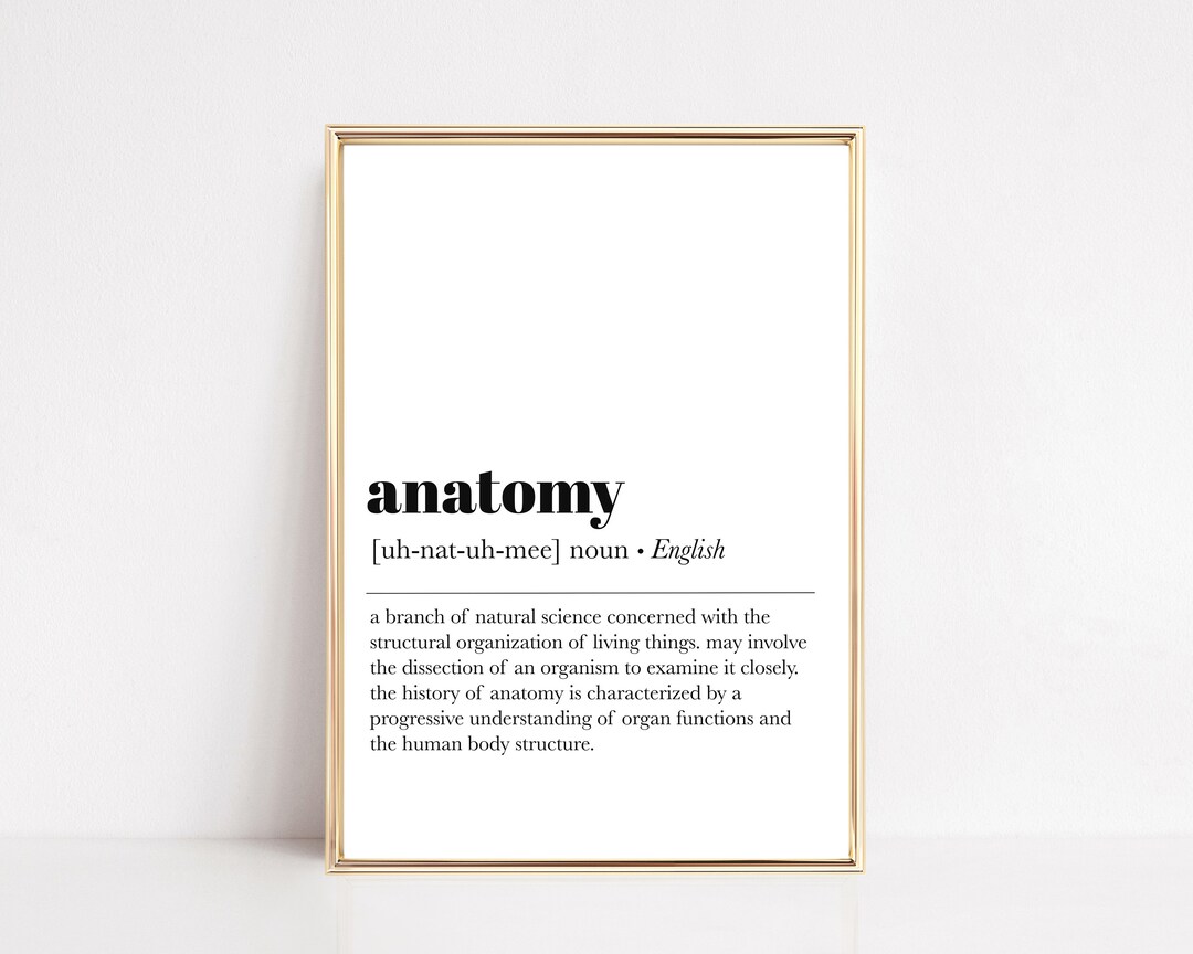 Anatomy Definition Print Anatomy Art Easy Halloween Decor Minimalist ...