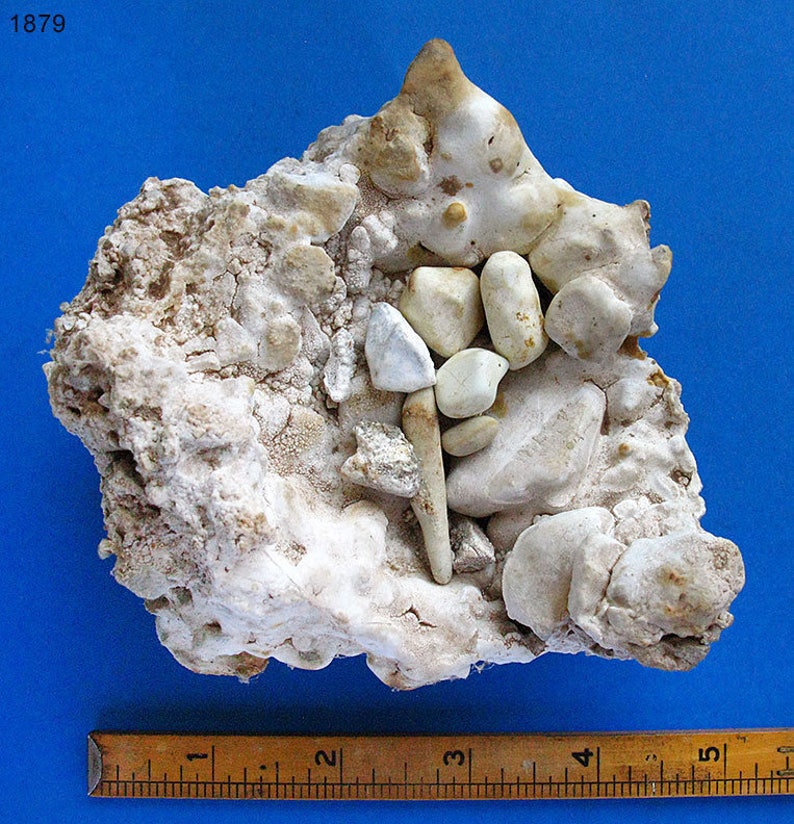 Rare Bisbee Calcite Birds Nest Formation – Campbell Mine Specimen (4.5 ...