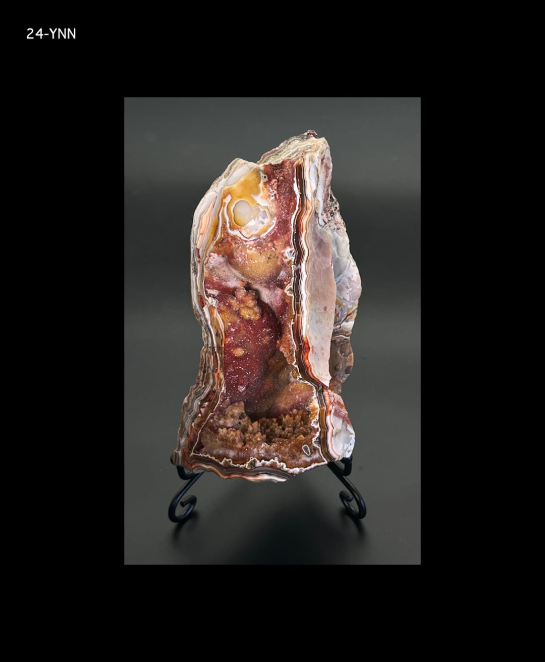 Laguna Lace Agate Specimen - New Find Museum A+ Insane Matrix W/ Red ...