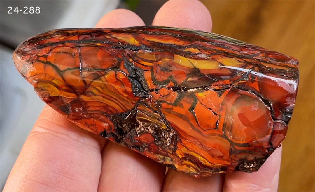 Laguna Lace Agate Rough Specimen apache Fire Amazing Colors 85mm See Video - Etsy
