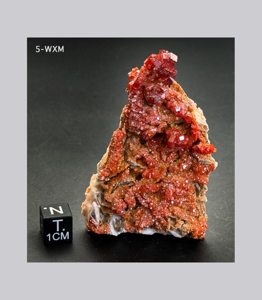 Vanadanite World Class Museum Grade A+ Crystals 2.5" See Insane Video ...