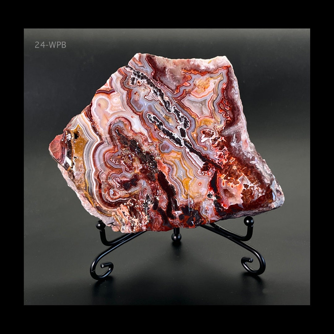 Laguna Lace Agate Specimen W/ Stand New Find Museum A Insane Matrix ...