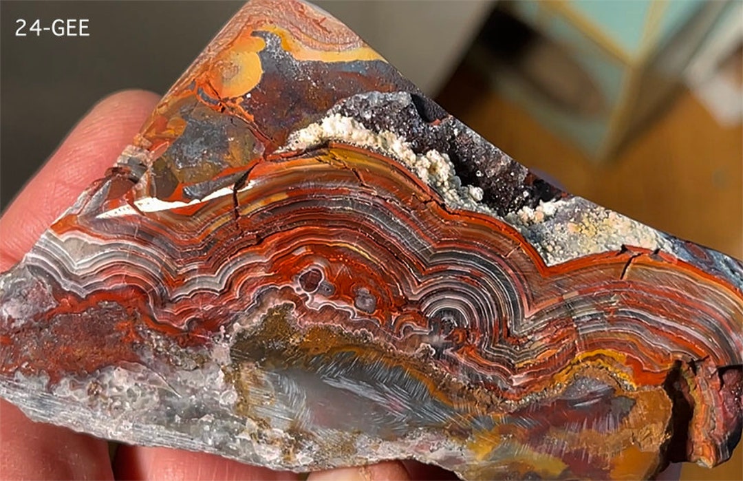 Laguna Lace Agate Lapidary Rough New Find Gem A Grade Insane Matrix ...