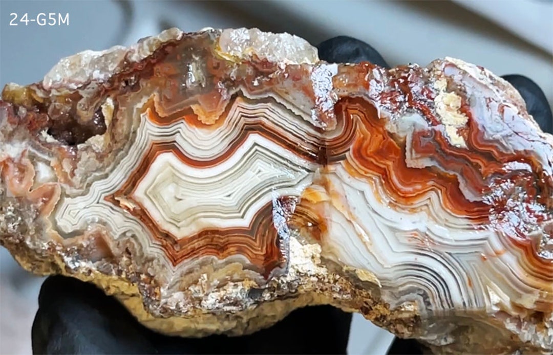 Laguna Lace Agate Specimen New Find Gem Grade A Insane Matrix Nice 190g ...