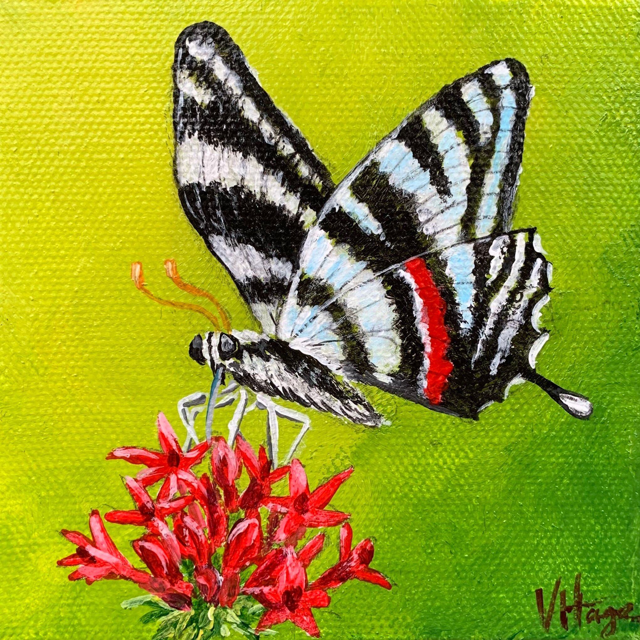 Zebra Swallowtail Butterfly (3rd in Series) Mini Painting 4" X 4 ...