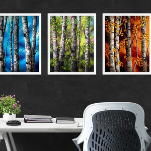 Complete Birch Tree Series by Veronica Hage - Set of 3 Prints of My ...